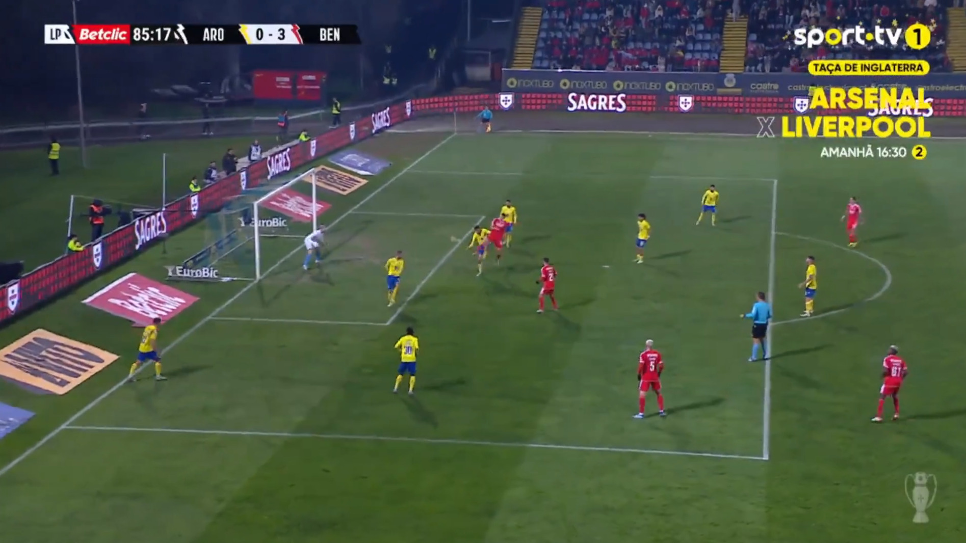 Petar Musa marca golaço de forma acrobática pelo SL Benfica e candidata ...