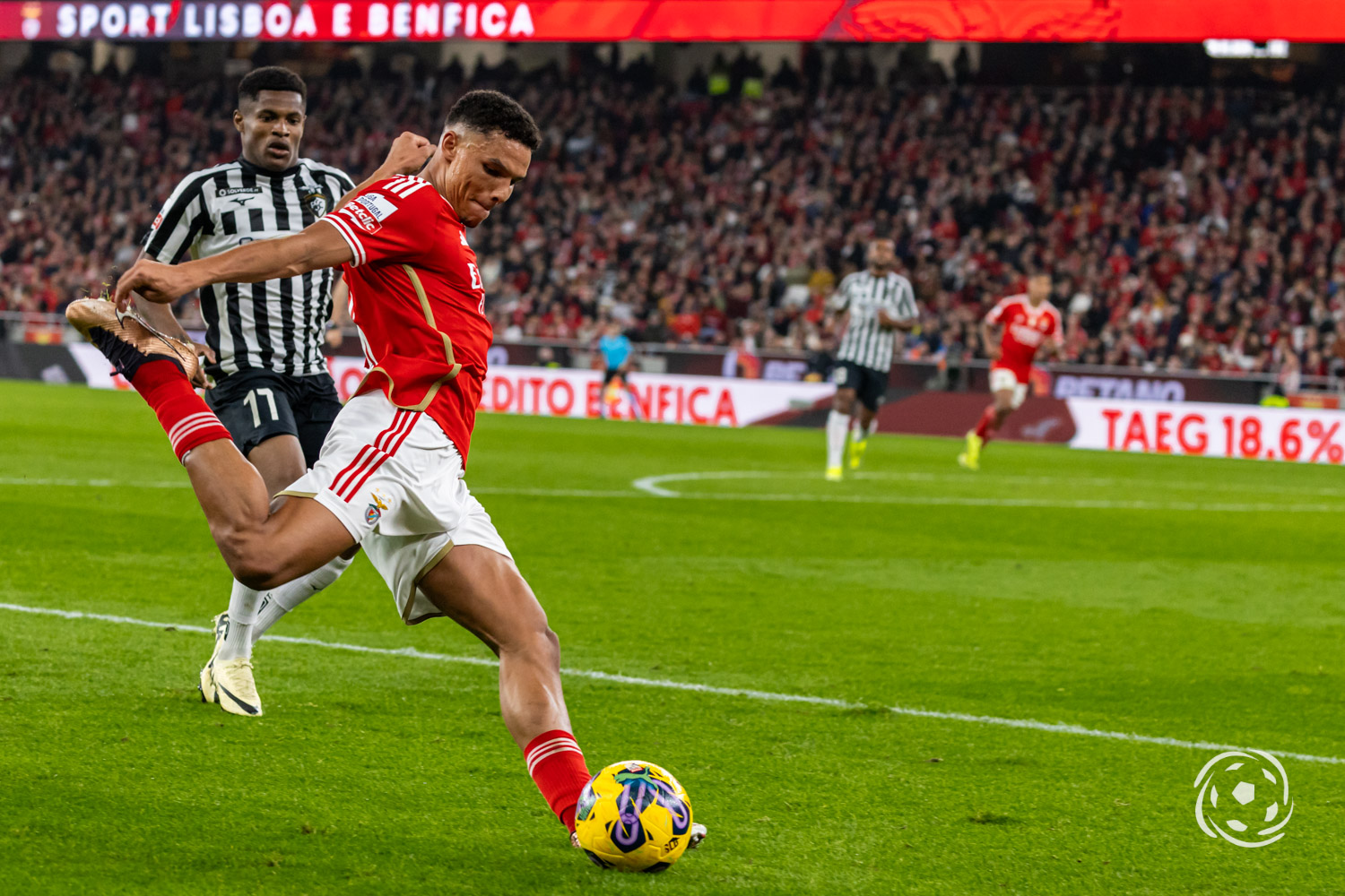 Alexander Bah dispensado da seleção da Dinamarca