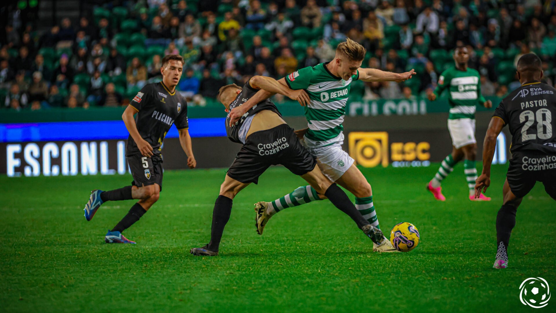 Viktor Gyokeres está nos planos do Arsenal